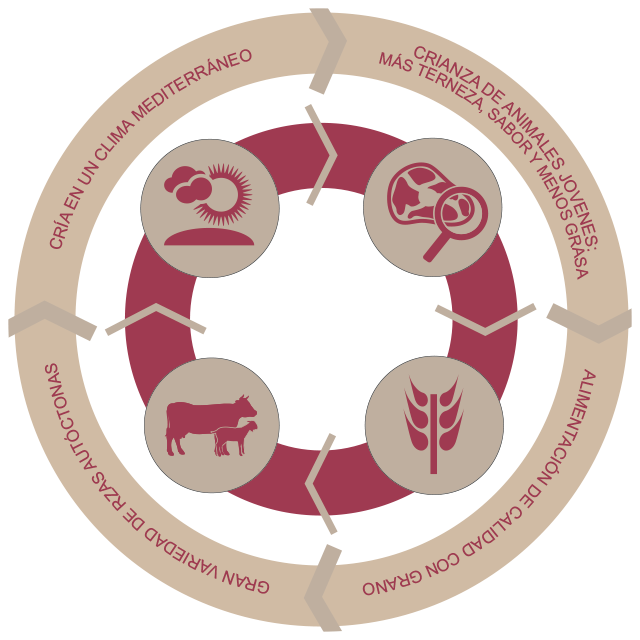 Modelo de producción europeo – Beef & Lamb